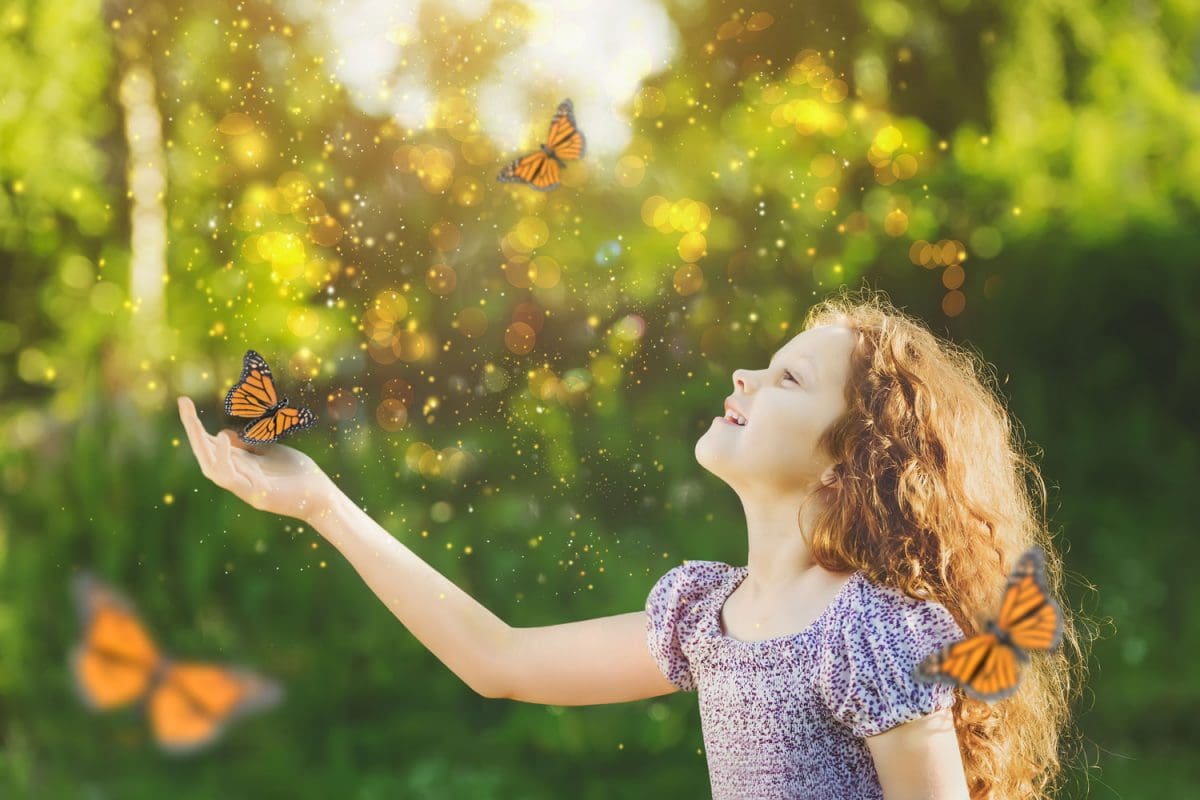 Learn About Monarch Butterflies and Our Efforts to Save Them in Canada