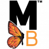 The Life Cycle of the Monarch Butterfly | Monarch Butterflies